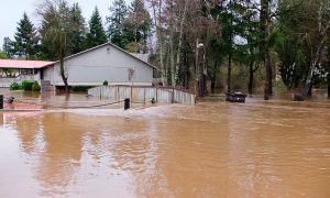 Independent Insurance Agency in Kentfield, CA | Sadler & Company ...